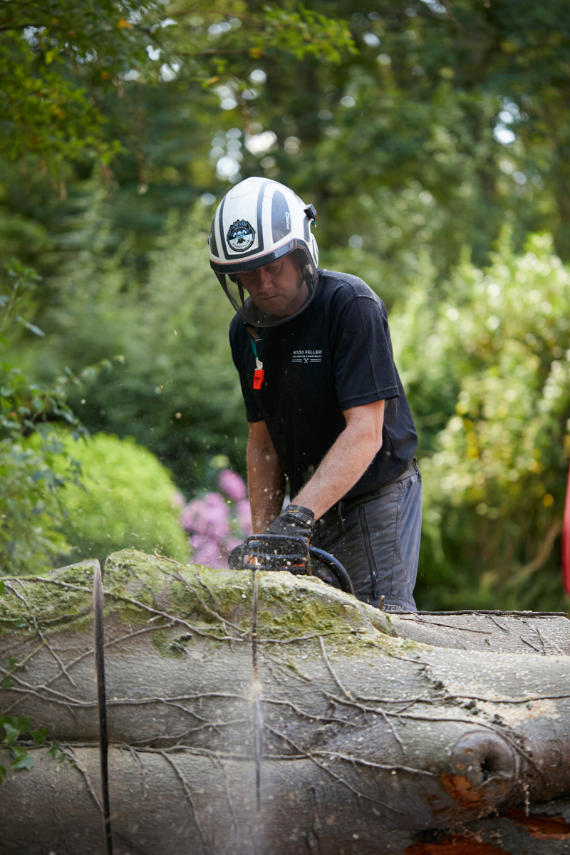 Contact Us | Get In Touch for Professional Tree Care | Wood Fellers